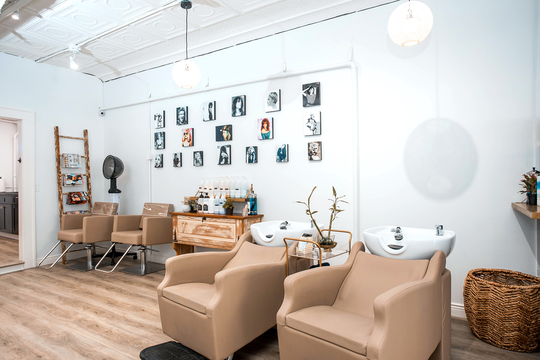 Banshee + Co. Hairdressing "Live Free or Dye!"